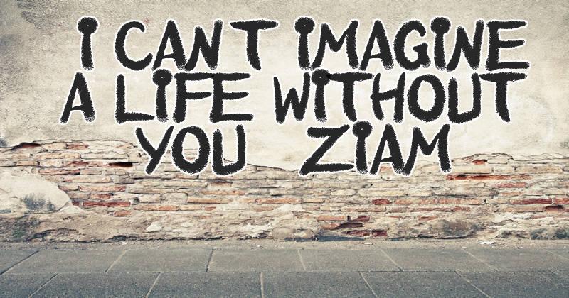 ''I can't imagine a life without you''- Ziam