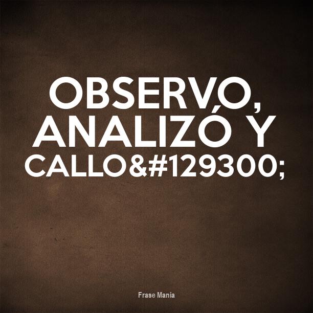 Cartel para: Observo, analizó y callo樂