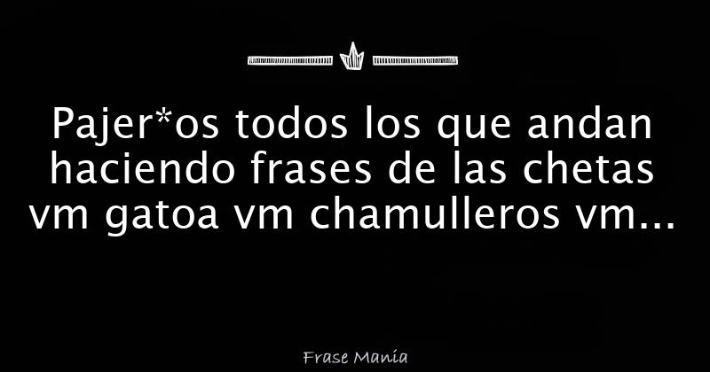 Pajer*os todos los que andan haciendo frases de las chetas vm gatoa vm ...