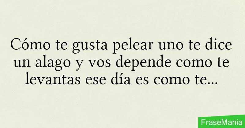 Cómo te gusta pelear uno te dice un alago y vos depende como te ...