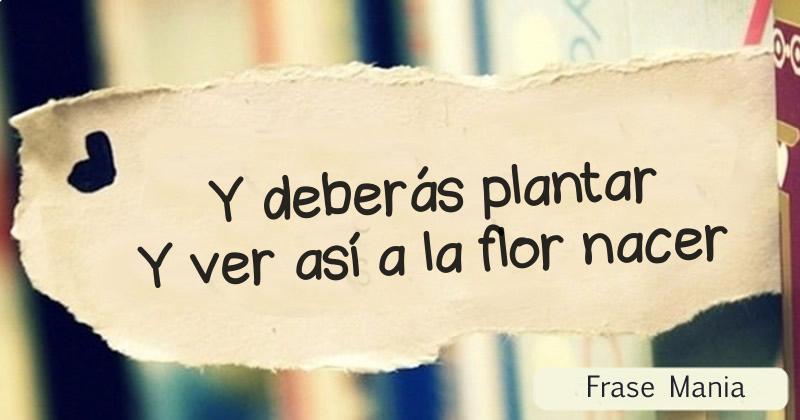 Y deberás plantar Y ver así a la flor nacer